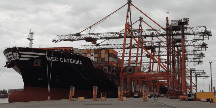 Exolgan Container Terminal installs ABB crane OCR with stowage location ...